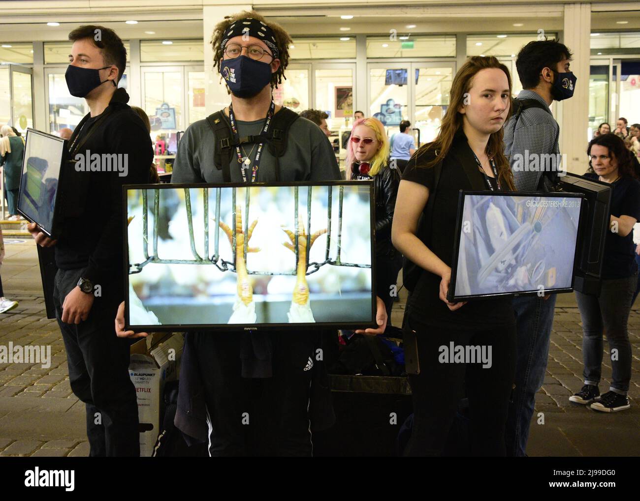 Animal rights activists hi-res stock photography and images - Alamy