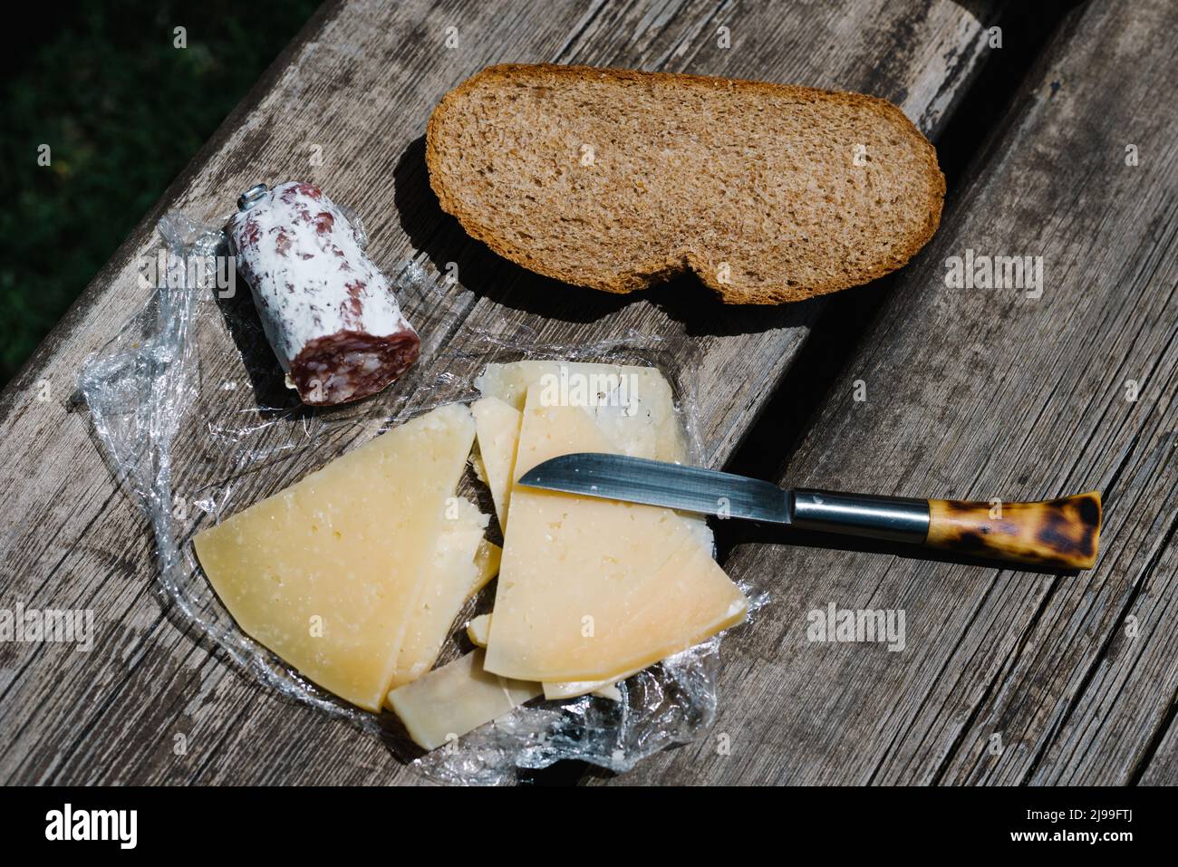Concept: Urban fauna. Hedgehog looking for food among the garbage ...