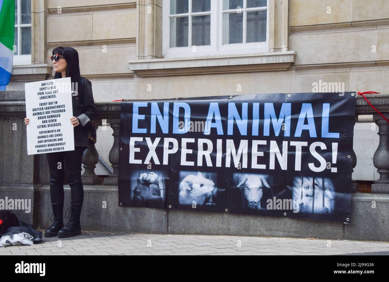 Animal experiments hi-res stock photography and images - Alamy