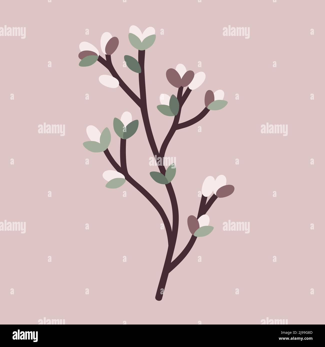 Abstract spring tree branch Stock Vector Image & Art - Alamy