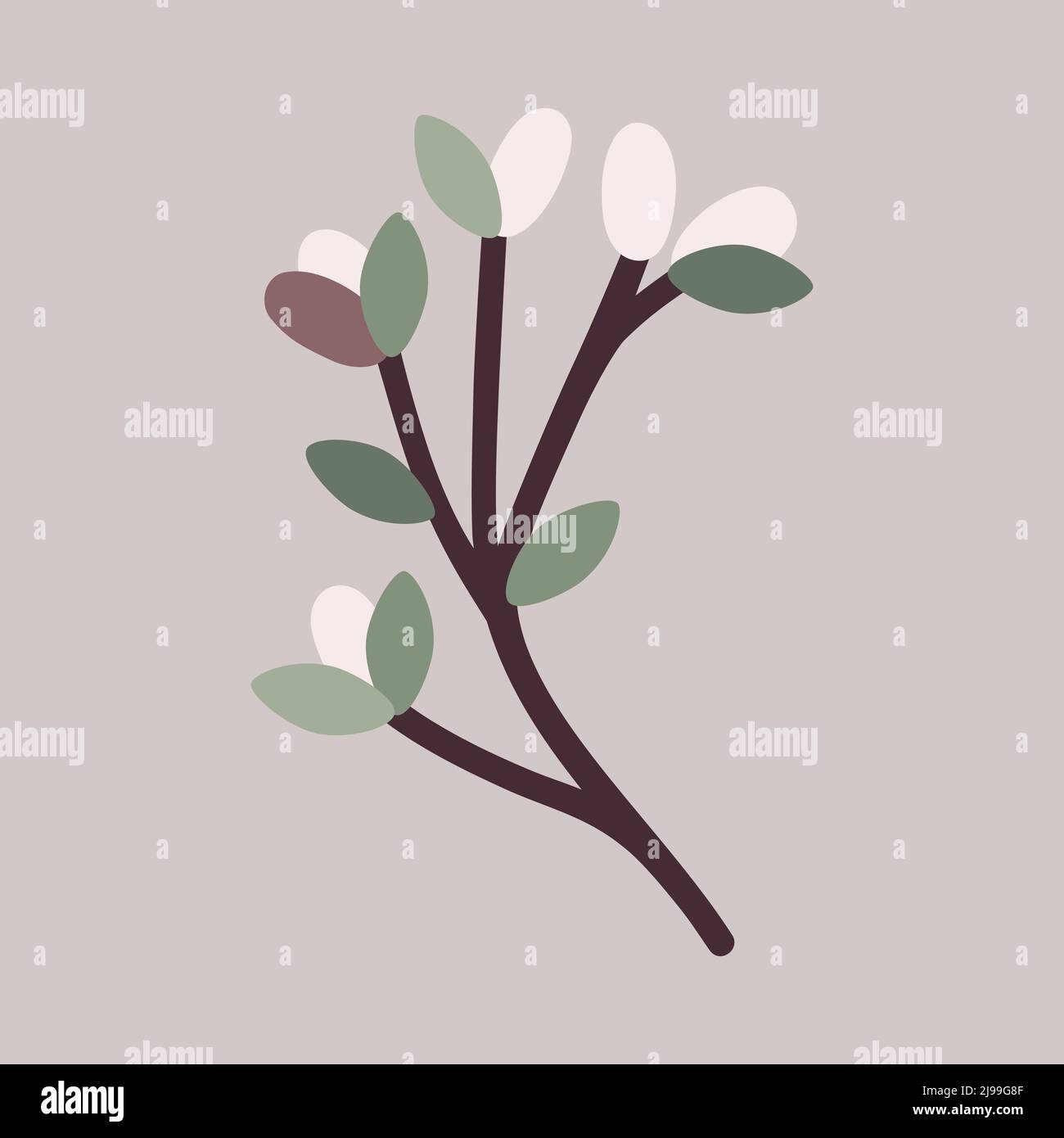 Abstract spring tree branch Stock Vector Image & Art - Alamy