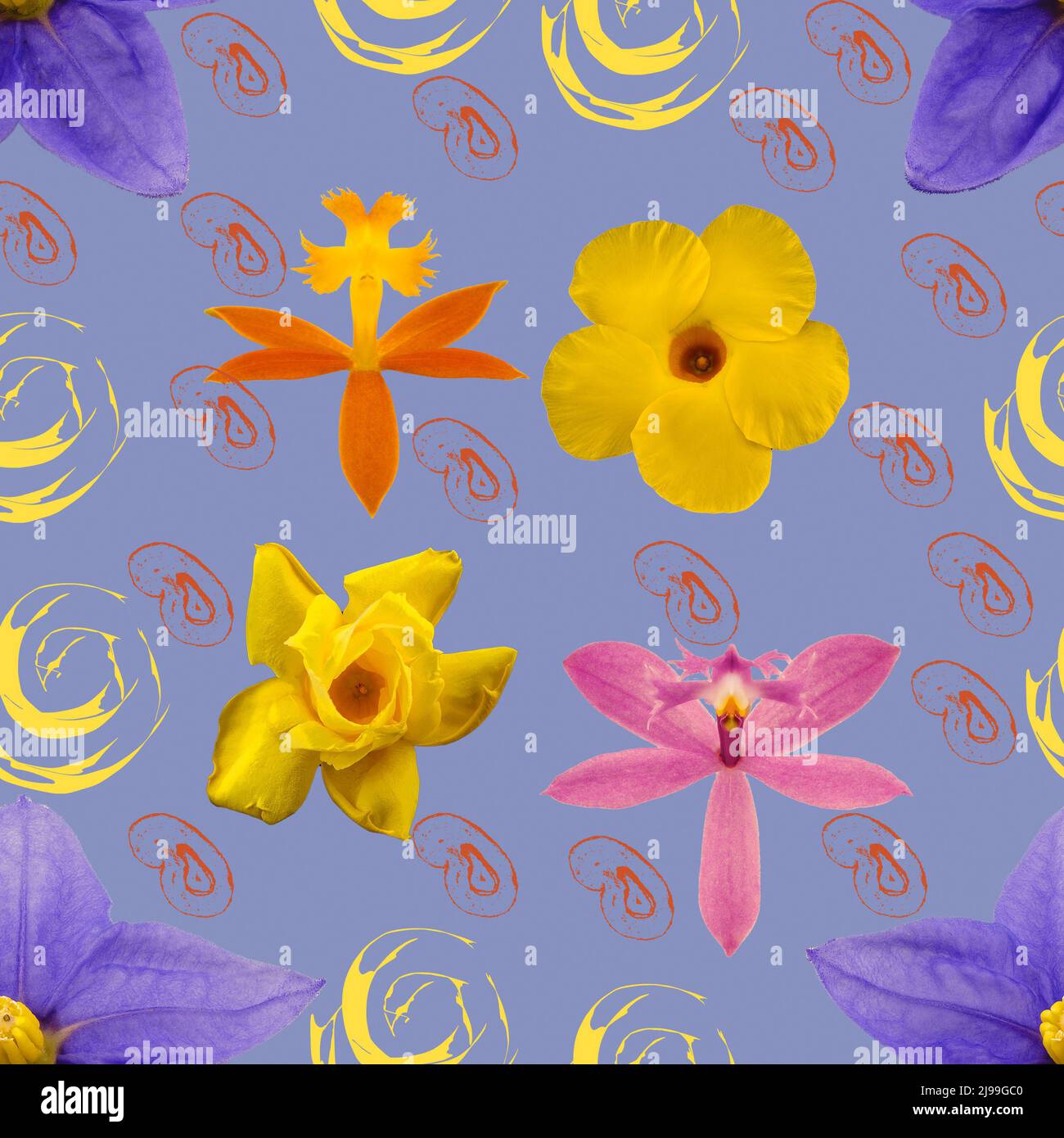 Five flowers in a seamless pattern with a blue background Stock Photo ...