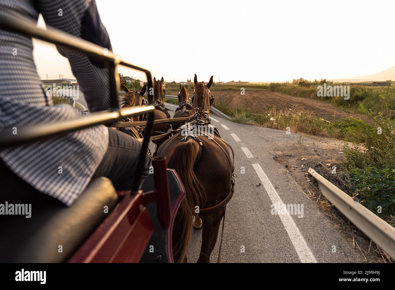 Man driving a horse-drawn carriage on the countryside road Stock Photo ...