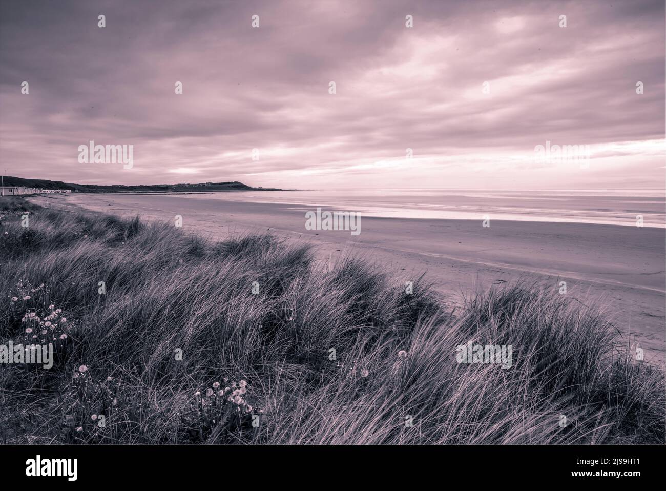 banff links beach aberdeenshire scotland Stock Photo - Alamy