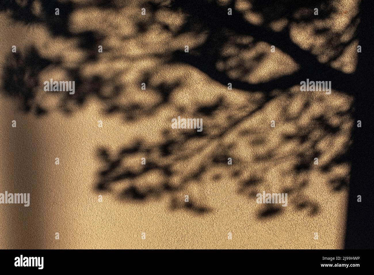 Brown aesthetic shadow hi-res stock photography and images - Alamy