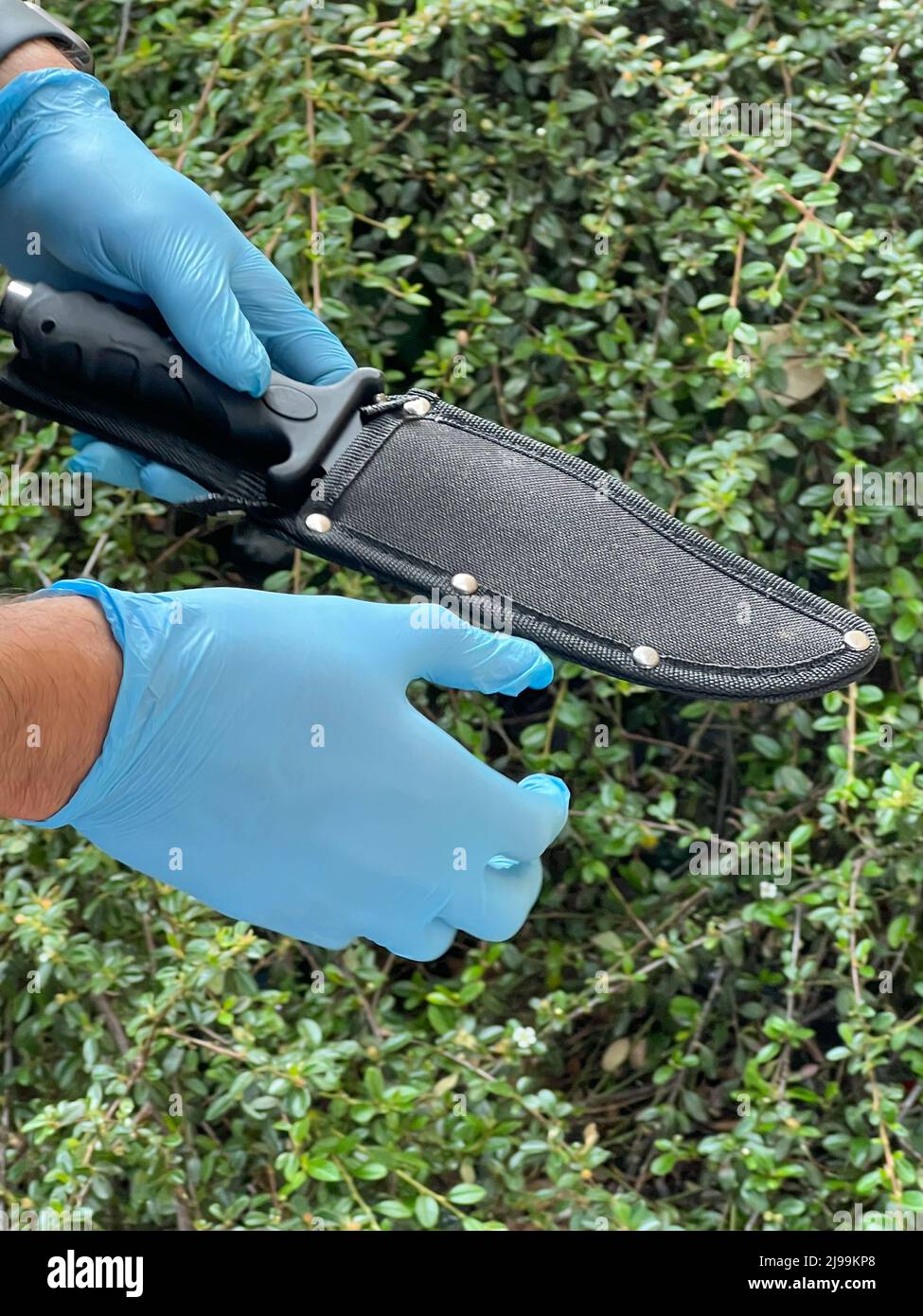 Officer knife hi-res stock photography and images - Alamy