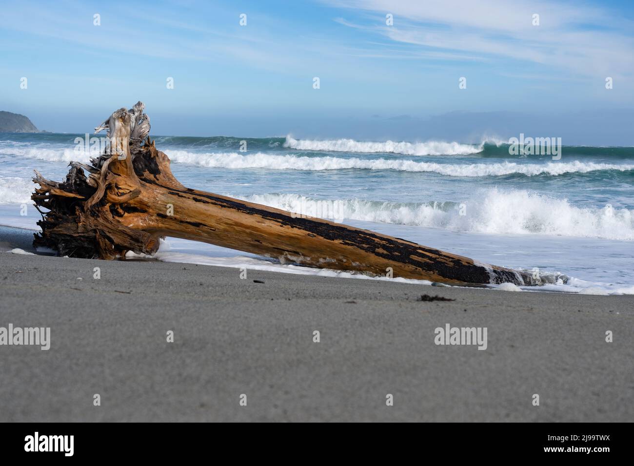 Big old log washed up on beach with waves washing and crashing in ...