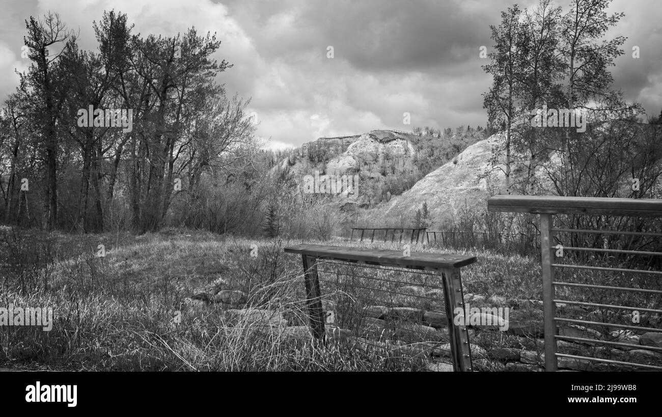 Bowmont Park Calgary Alberta Stock Photo - Alamy