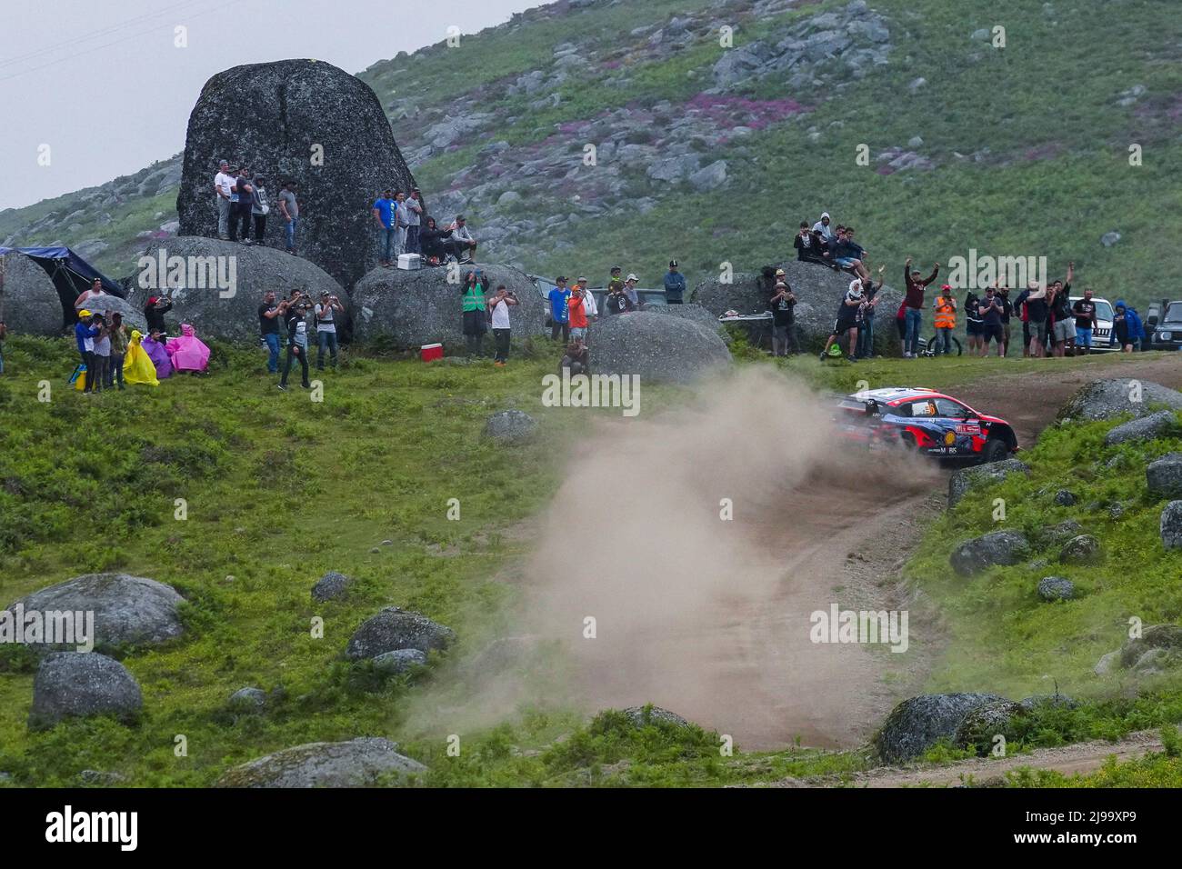 06 SORDO Dani (ESP), CARRERA Candido (ESP), HYUNDAI SHELL MOBIS WORLD ...