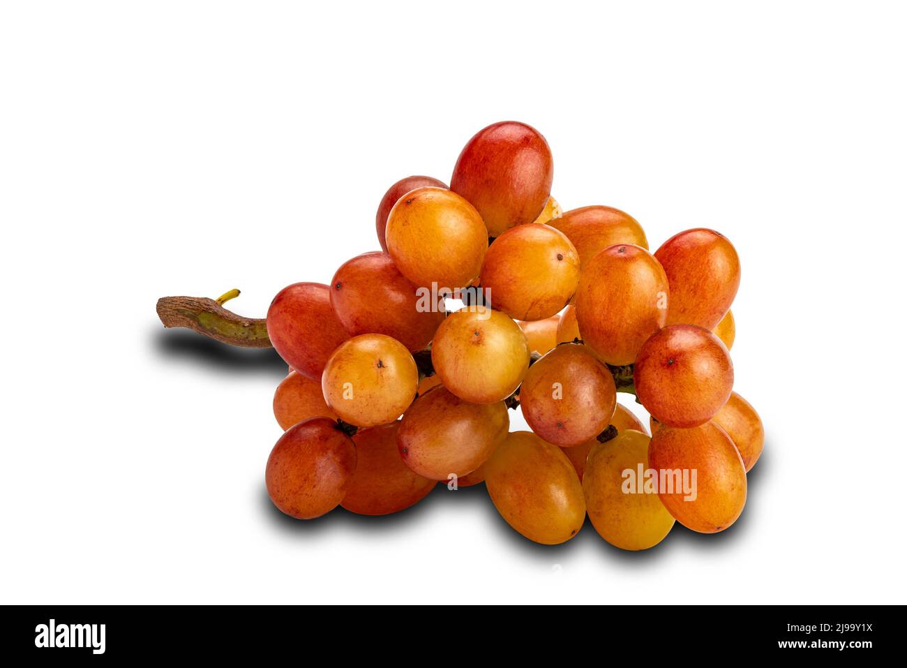 Bunch of freshly harvested ripe red grapes isolated on white background with clipping path Stock ...