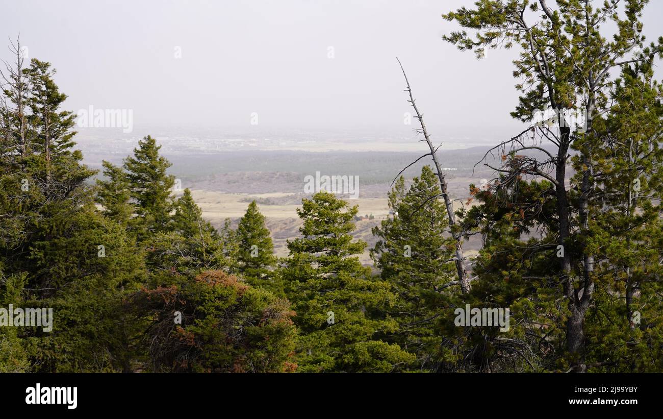 A view of Northern Colorado Springs from Mount Herman, in the Pike ...