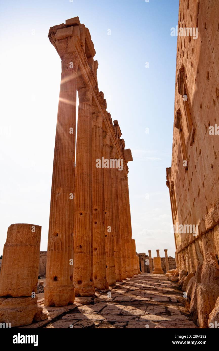 Palmyra Temple of Bel columns Stock Photo - Alamy