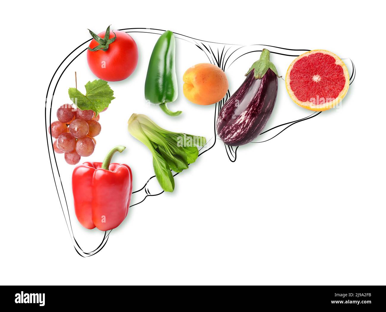 Drawing of liver with healthy fresh vegetables and fruits on white ...