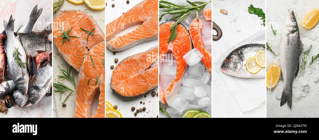 Set of fresh fishes and seafood on light background, top view Stock ...