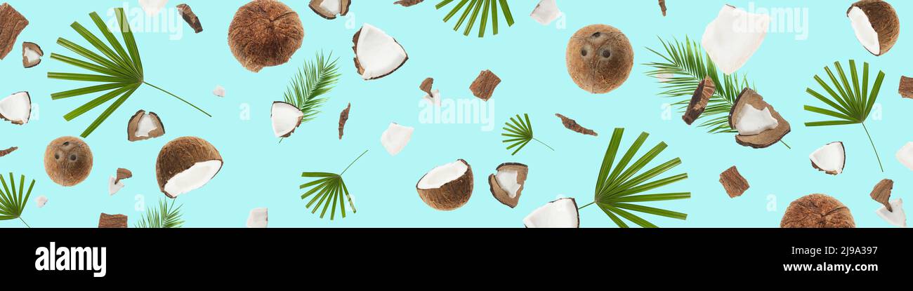 Many coconuts and tropical leaves on light blue background. Banner for ...