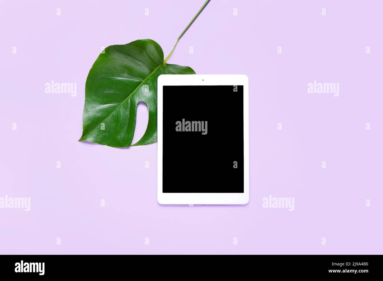 Tablet computer with palm leaf on lilac background Stock Photo - Alamy