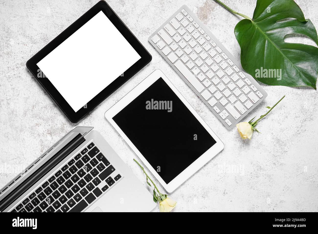 Modern devices with roses and palm leaf on white background Stock Photo ...