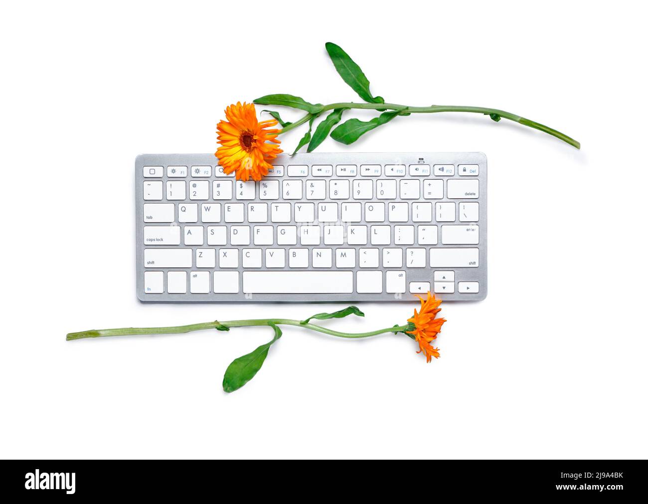 Computer keyboard with flowers on white background Stock Photo - Alamy