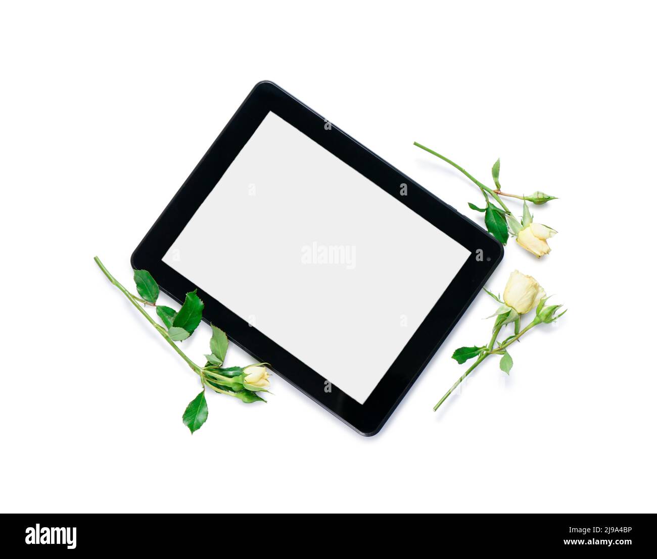 Tablet computer with roses on white background Stock Photo - Alamy
