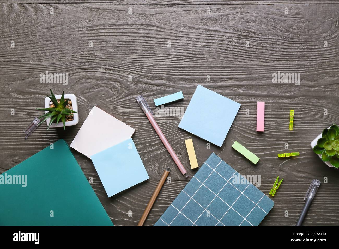 Blank sticky notes, notebooks, houseplant and stationery supplies on ...
