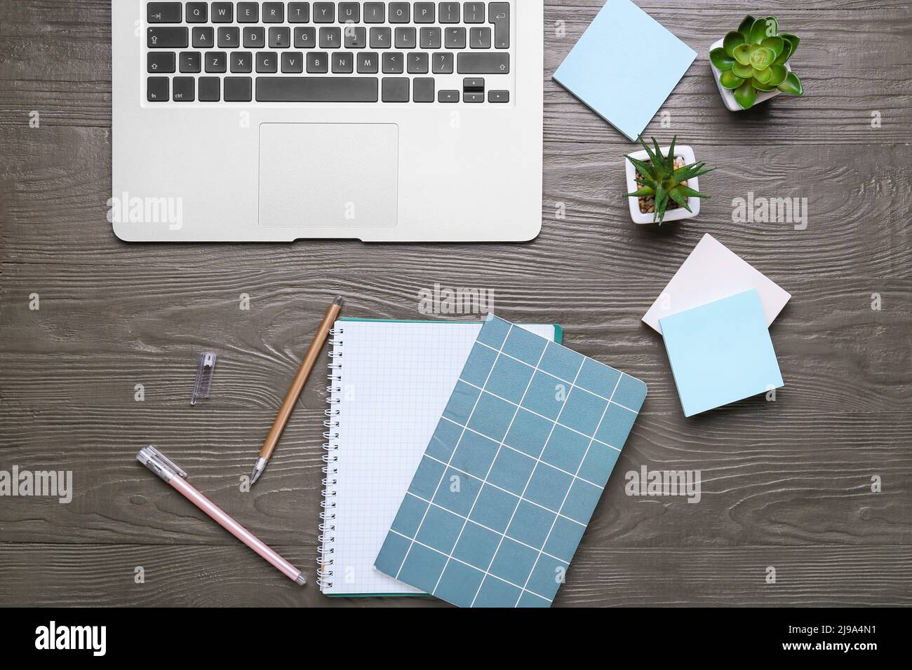Blank sticky notes, notebooks, pens, laptop and houseplants on grey ...
