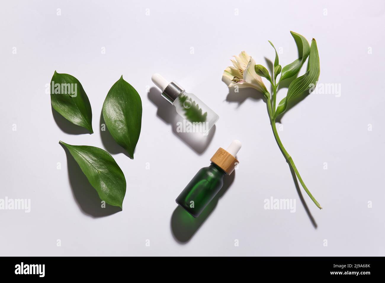 Bottles of natural serum, flower and plant leaves on white background ...