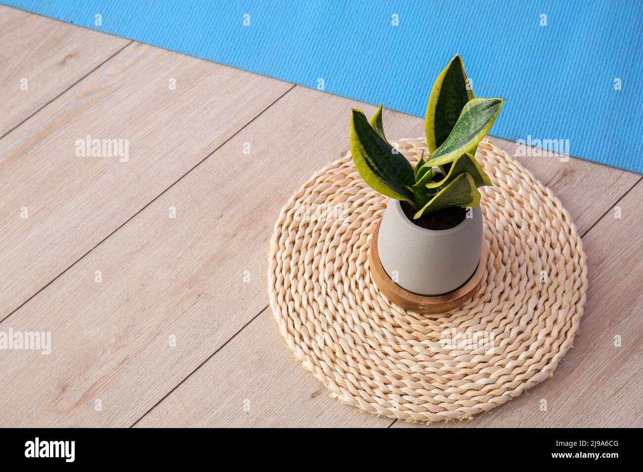 Houseplant on wicker mat in room Stock Photo - Alamy