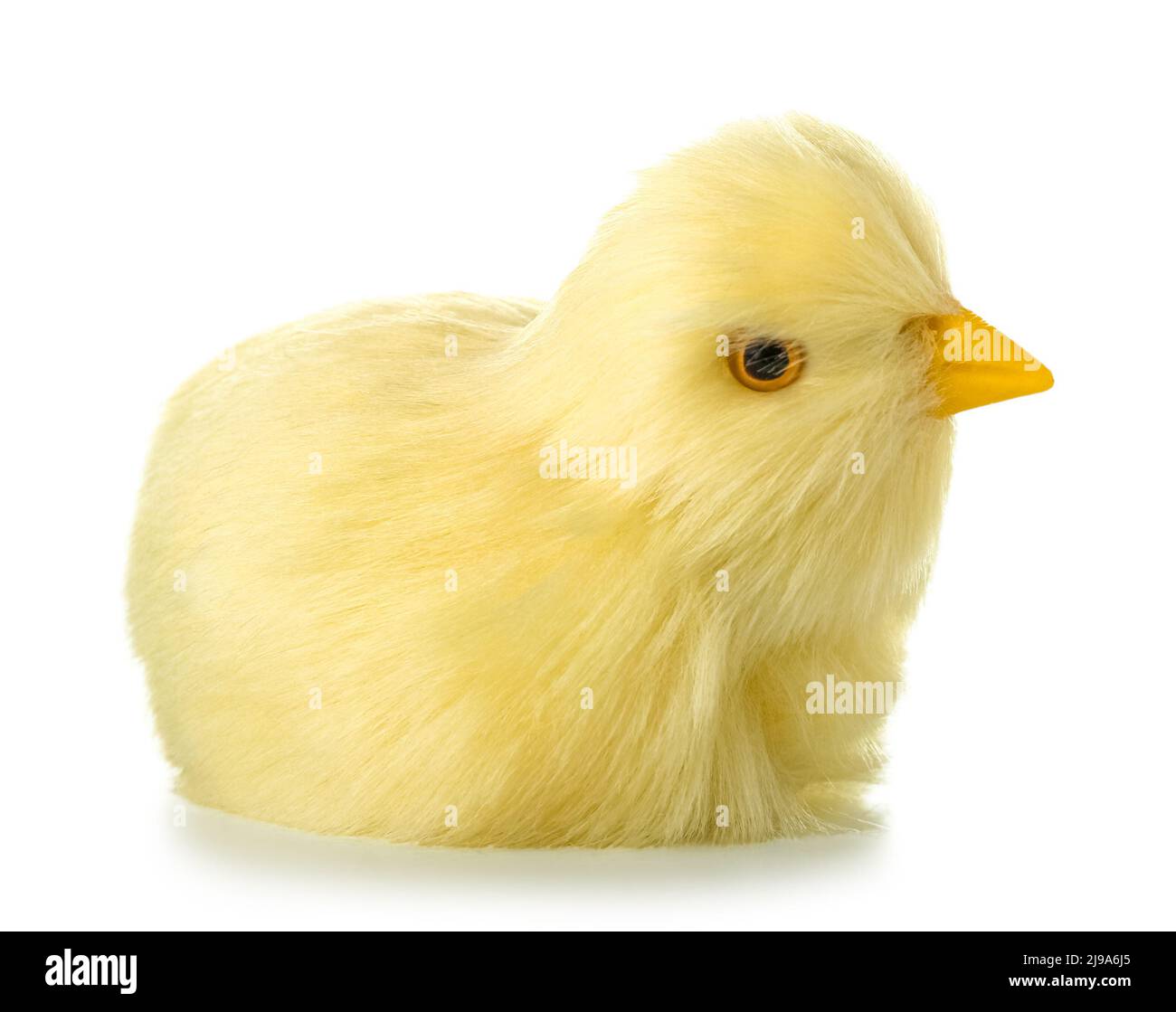 Cute yellow chicken isolated on white Stock Photo - Alamy
