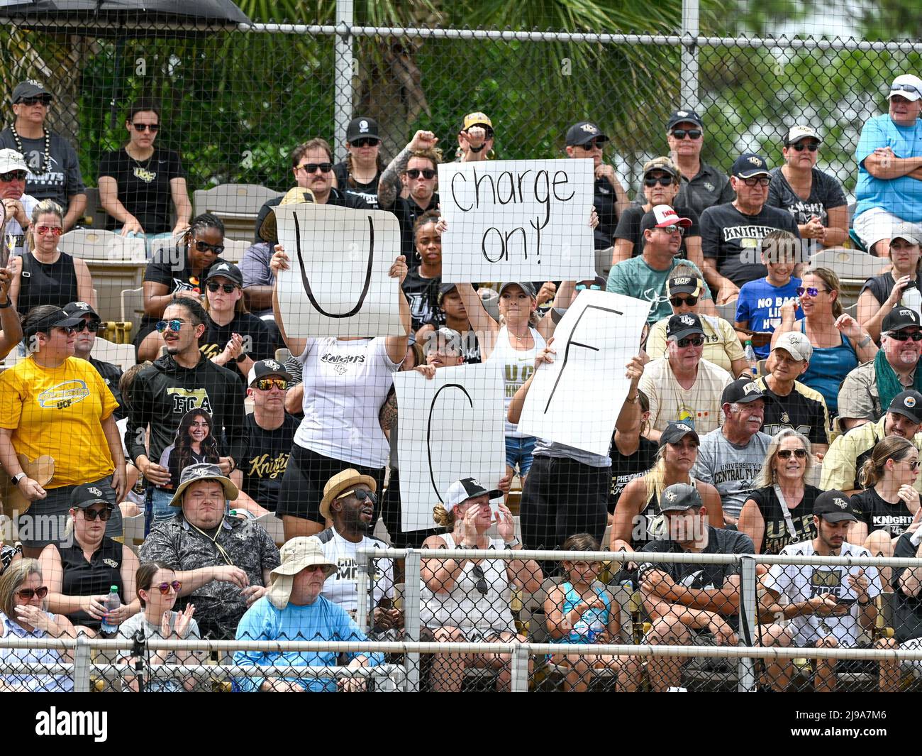 Ncaa softball fans hi-res stock photography and images - Alamy