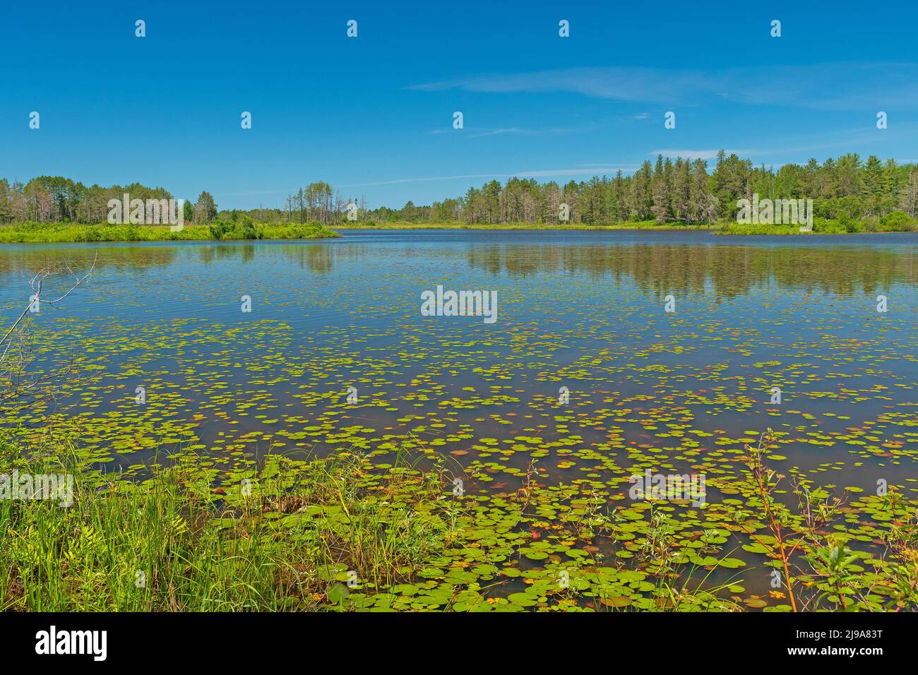 Seney national wildlife refuge hi-res stock photography and images - Alamy