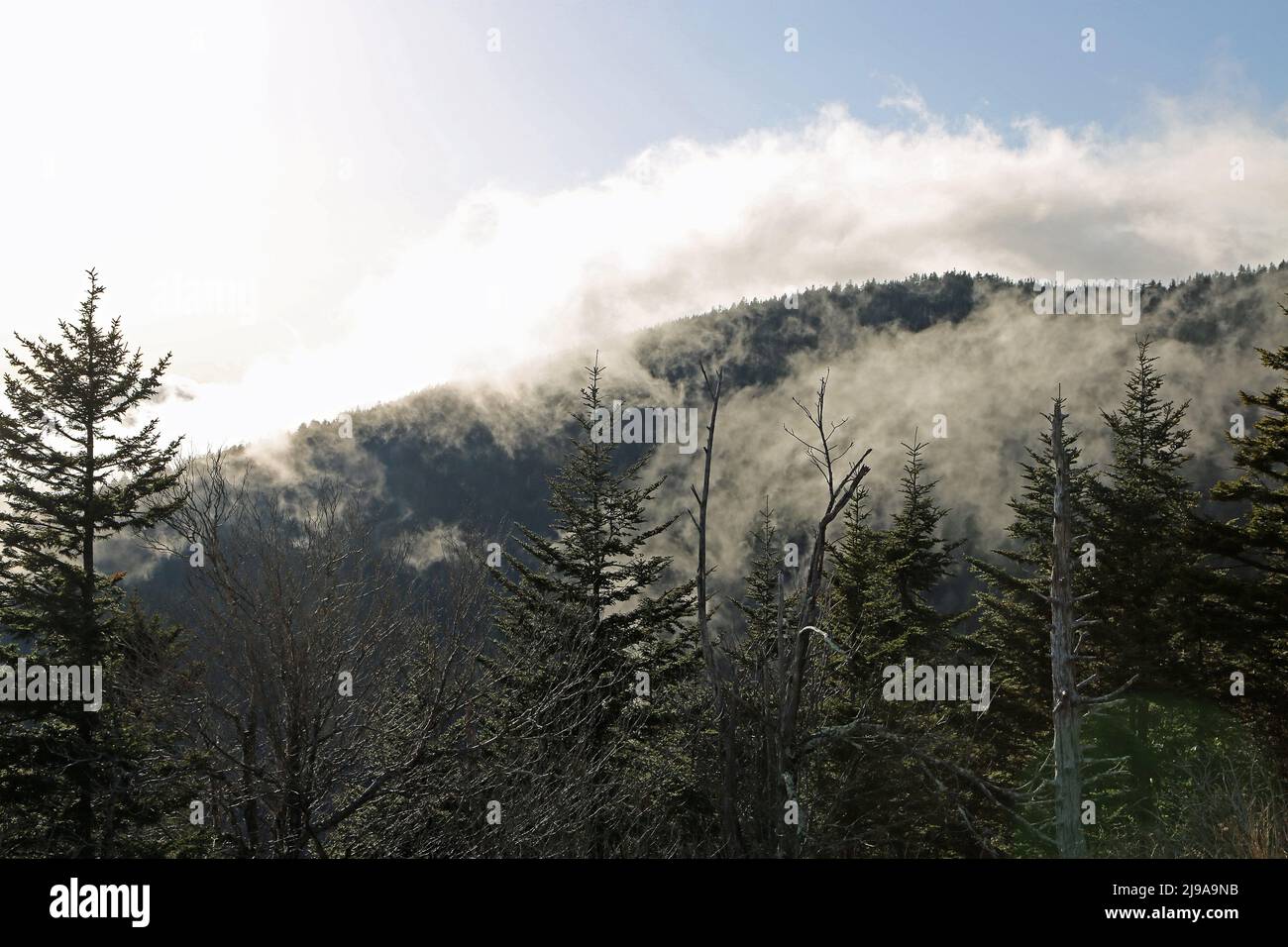 Silver dew hi-res stock photography and images - Alamy