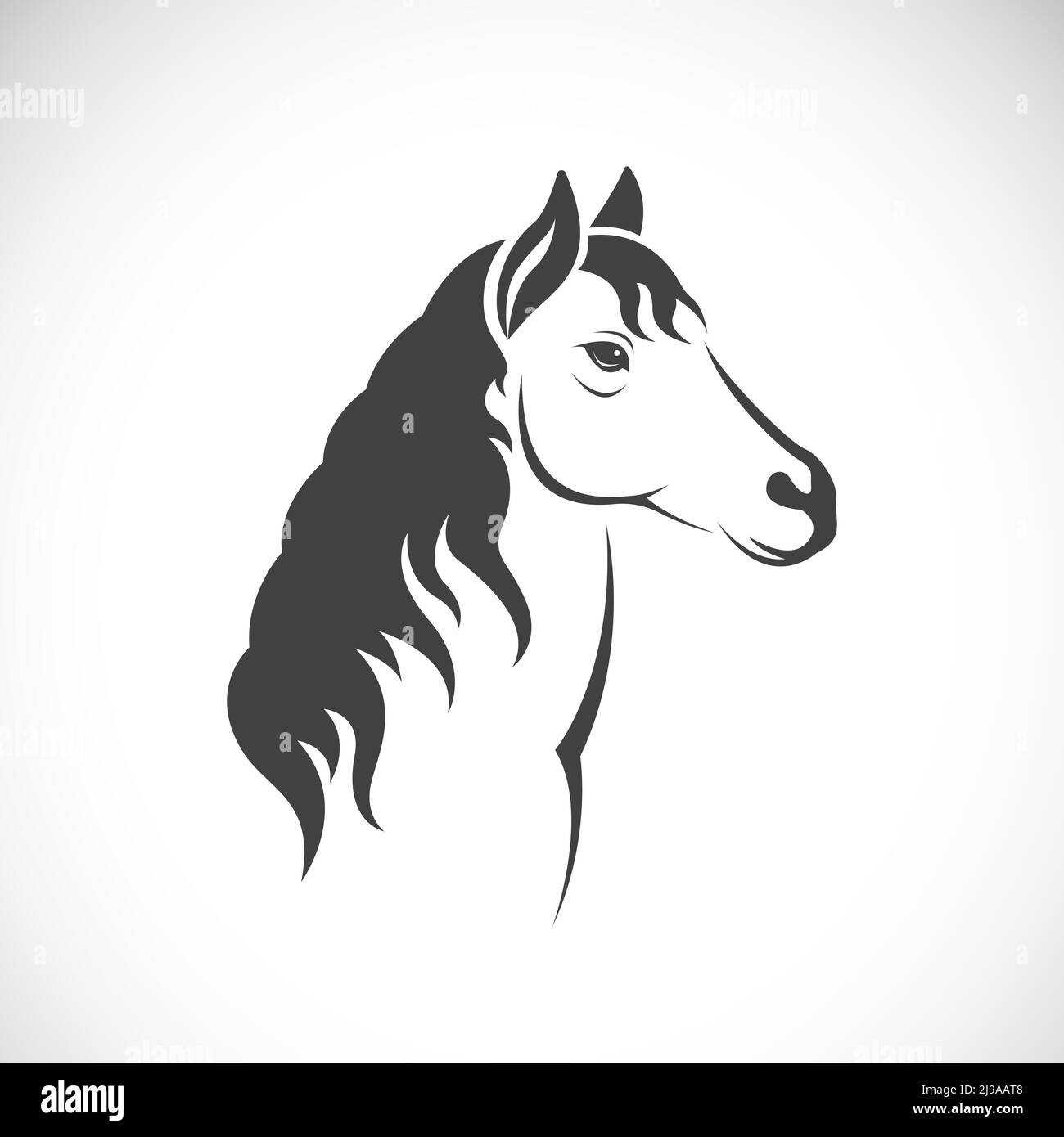 Vector of an horse head design on white background. Easy editable ...