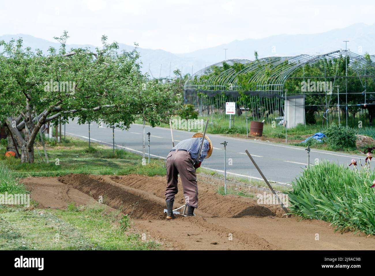 iida, nagano, japan, 2022/11/05 , a farmer working his land in iida ...