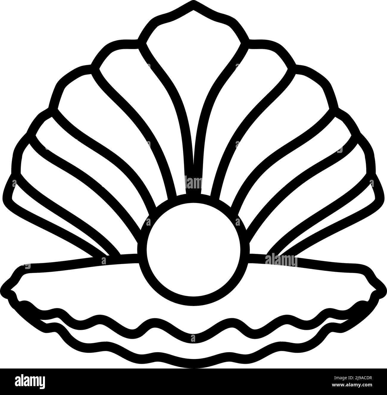 Open Shell Illustration