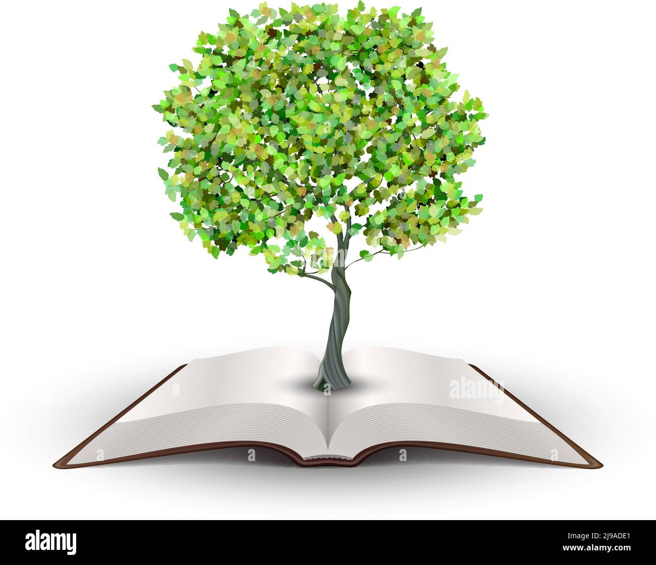 Tree growing from open book Vector isolated on white Stock Vector Image ...