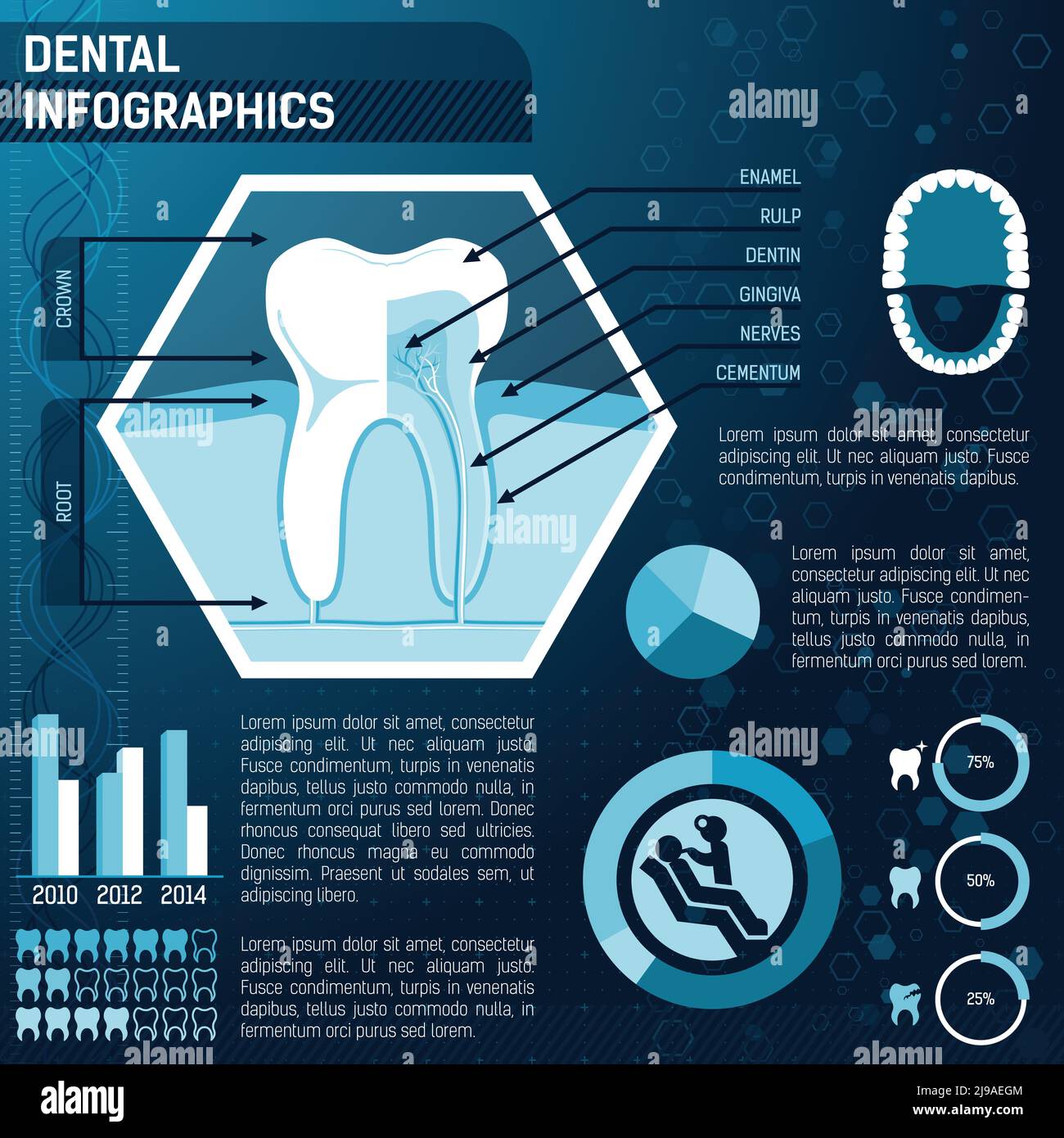Tooth anatomy, health and prevention template for design infographic ...