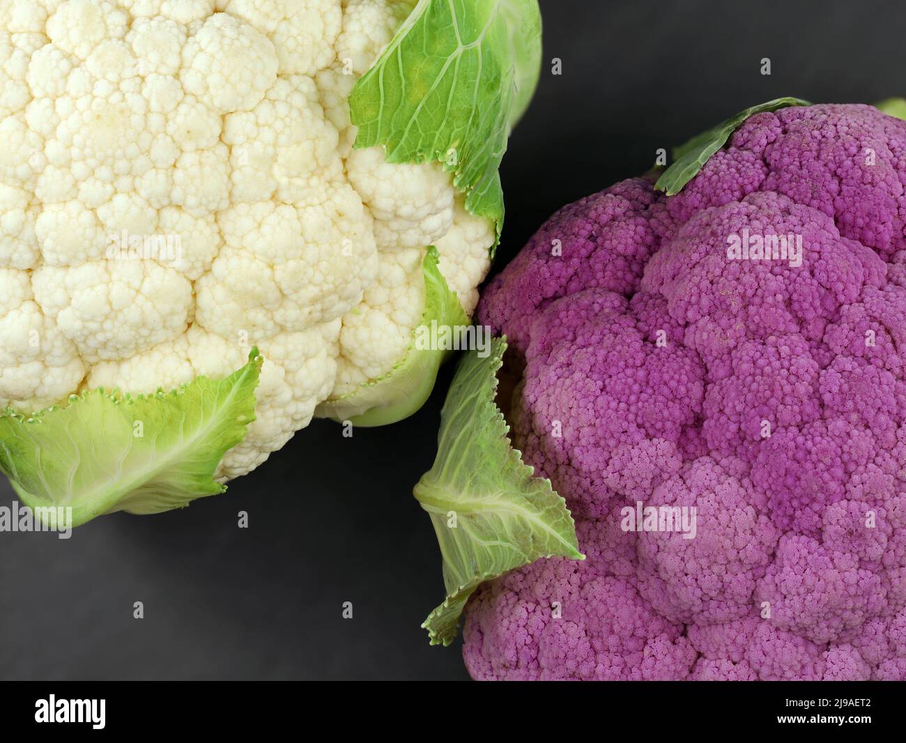 comparson of white and purple cauliflower, top view of different ...