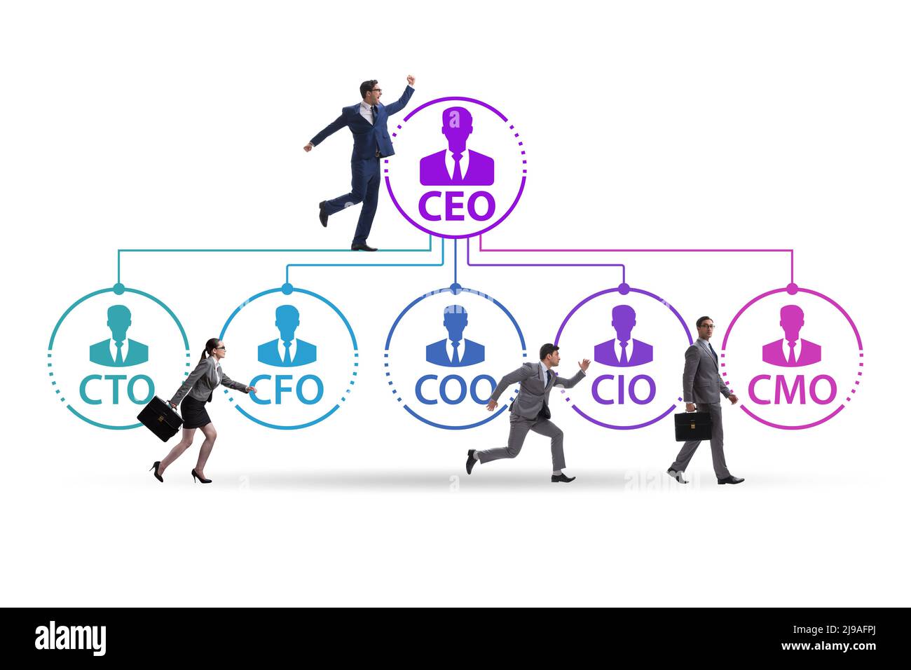 Illustration of organisation chart with the various executives Stock ...