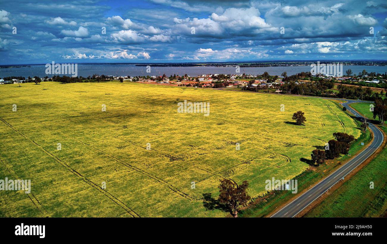 Aerial view of Lake Mulwala from the town of Mulwala in NSW Australia ...