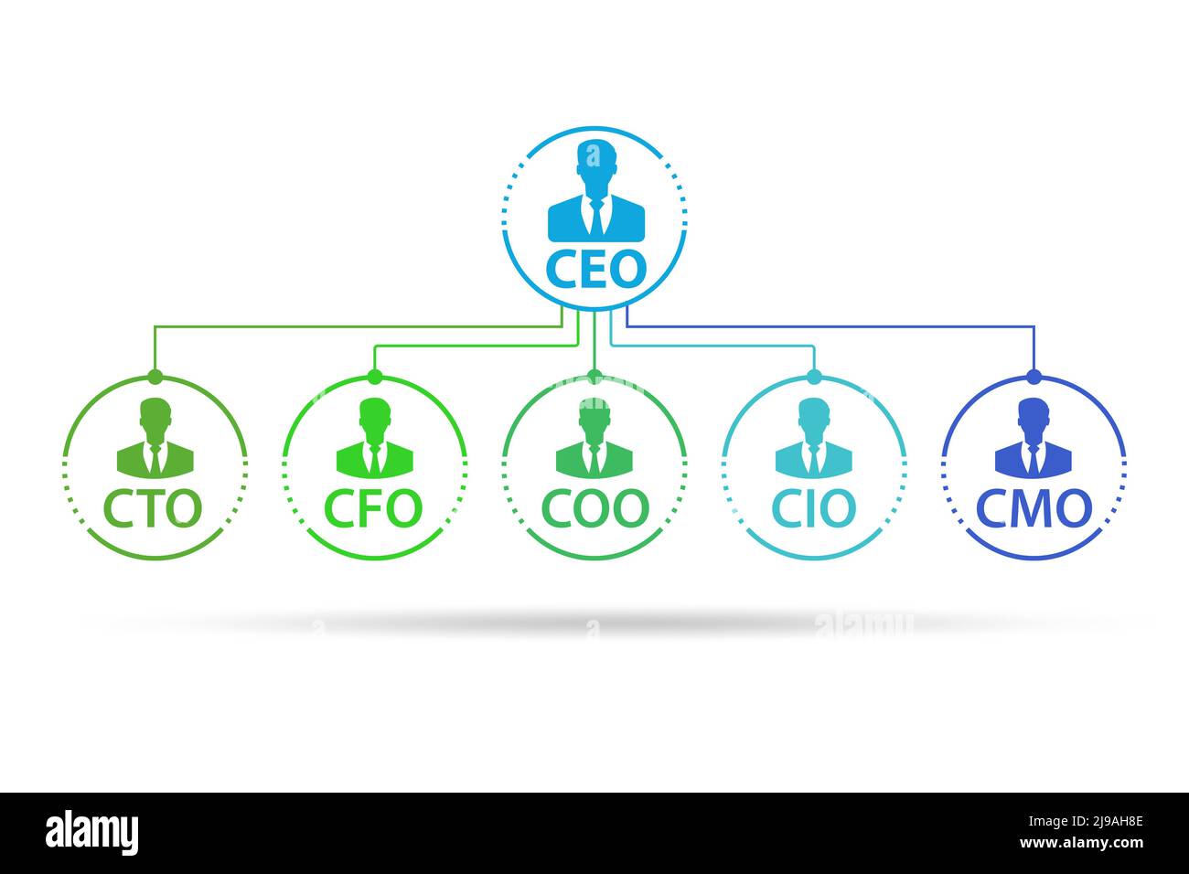 Illustration of organisation chart with the various executives Stock ...
