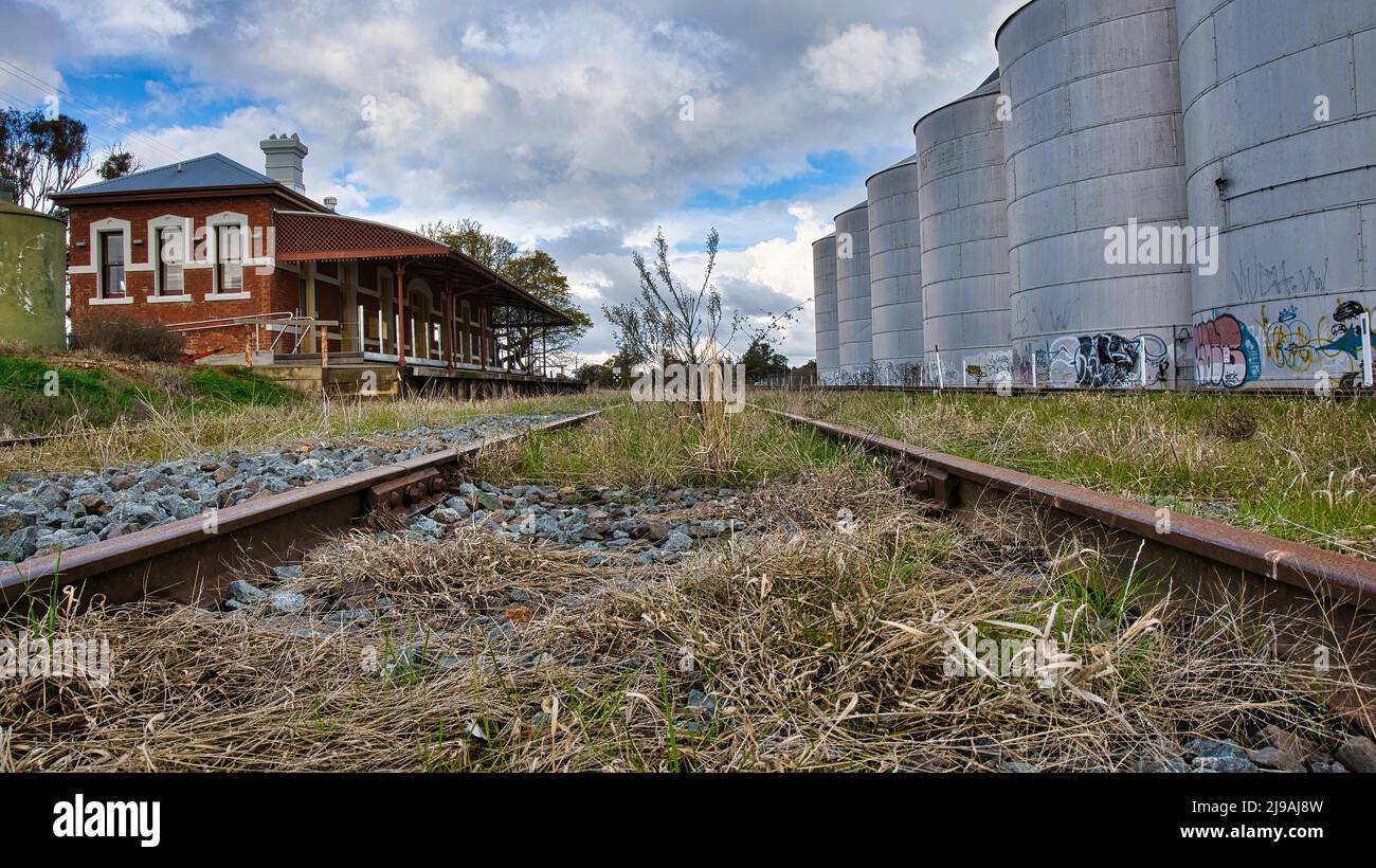 Weeds growing in container hi-res stock photography and images - Alamy