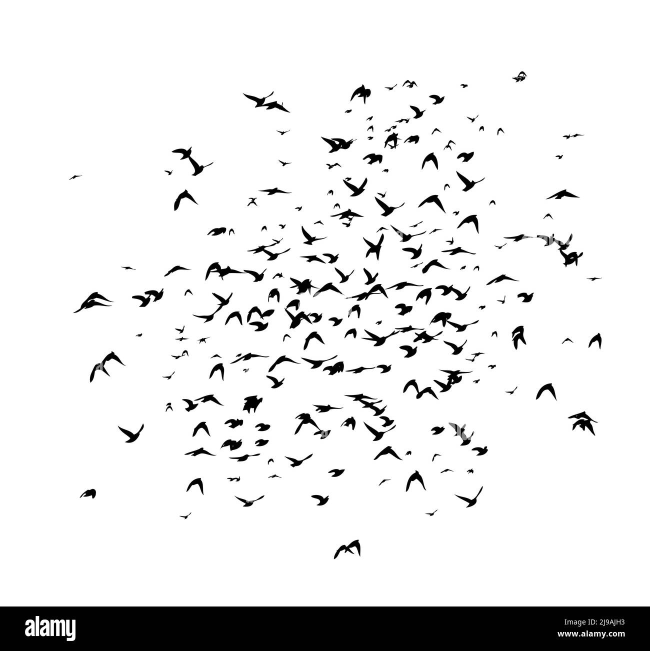A flock of flying birds. Free birds. Flying seagulls. Vector ...