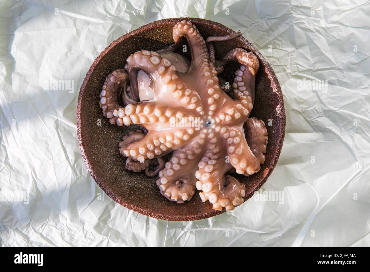 Octopus is raw, ready to cook. Creative concept of healthy food with ...