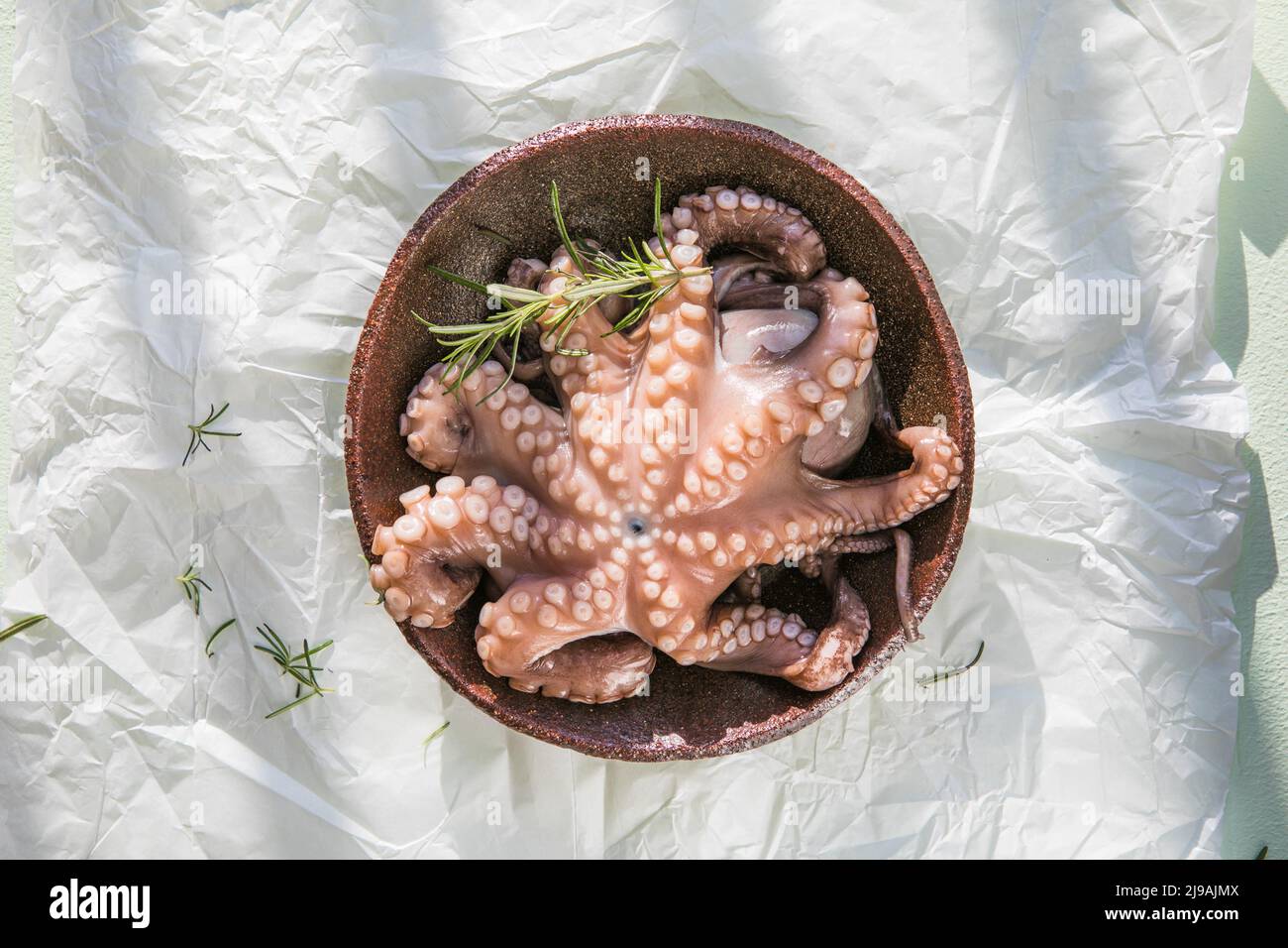 Octopus is raw, ready to cook. Creative concept of healthy food with ...