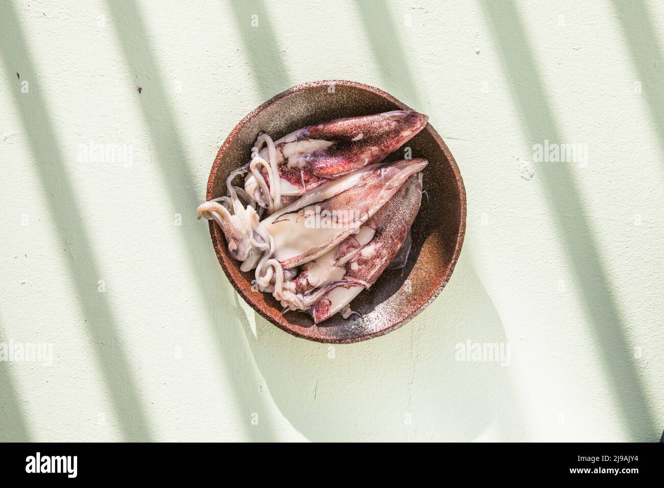 Fresh squid calmari on white background Stock Photo - Alamy