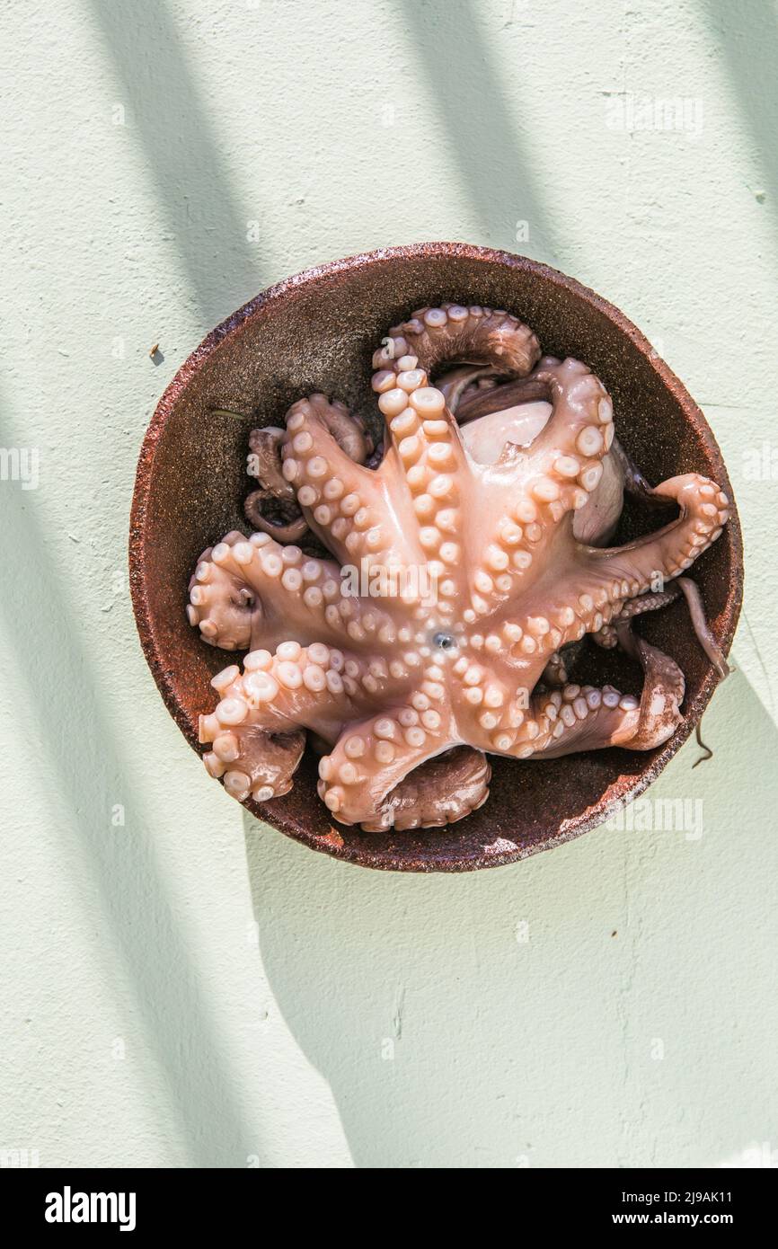 Octopus is raw, ready to cook. Creative concept of healthy food with ...