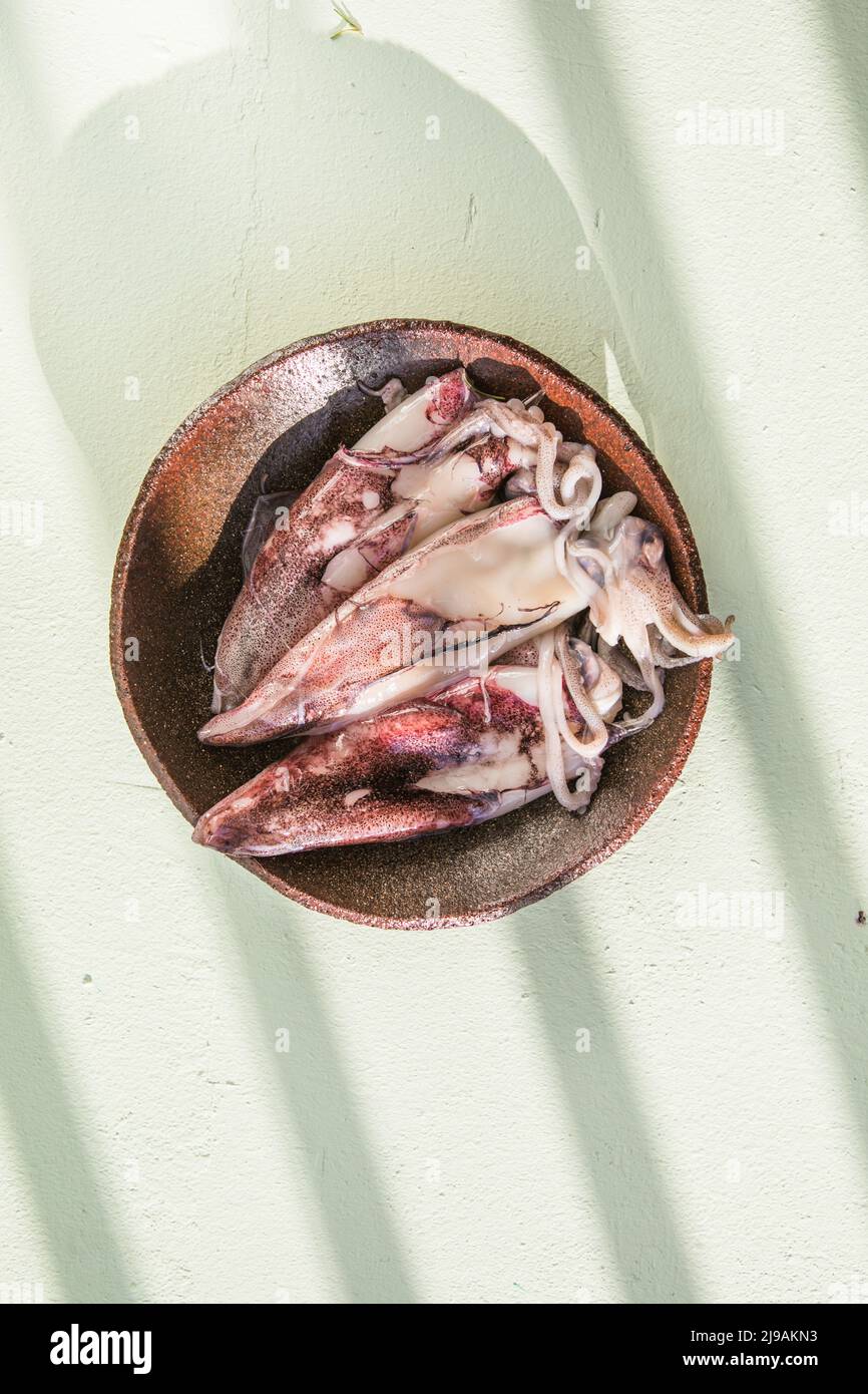 Fresh squid calmari on white background Stock Photo - Alamy