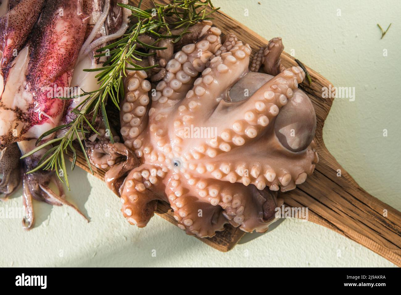 Octopus is raw, ready to cook. Creative concept of healthy food with ...