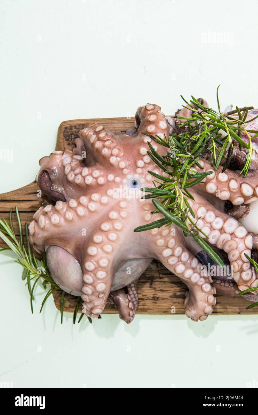 Mixed Seafood Contain octopus, prawns, Calamari Squids. Seafood and ...