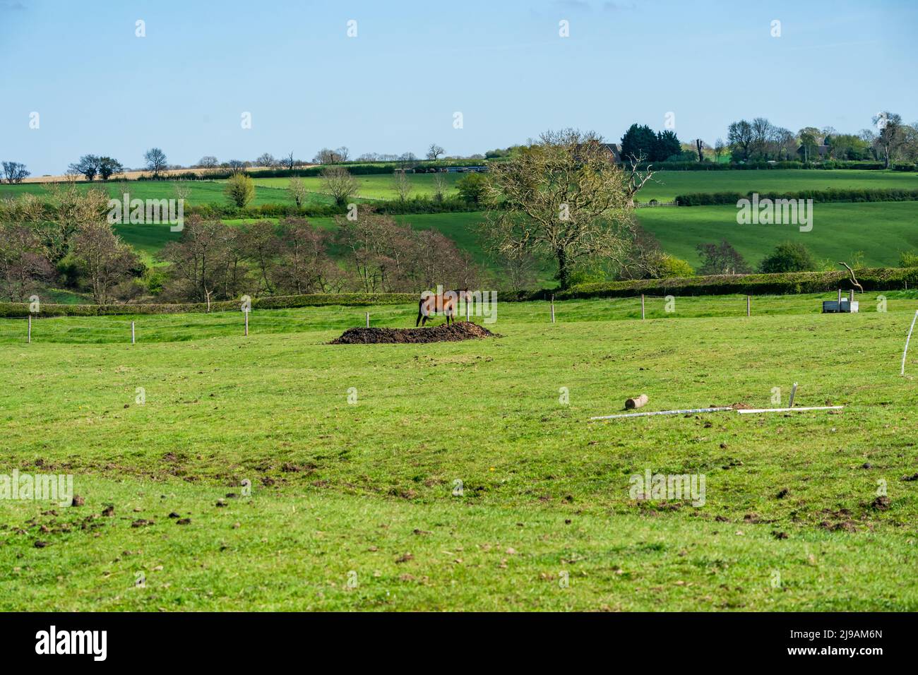 English countryside in Whissendine village in Rutland, England Stock ...